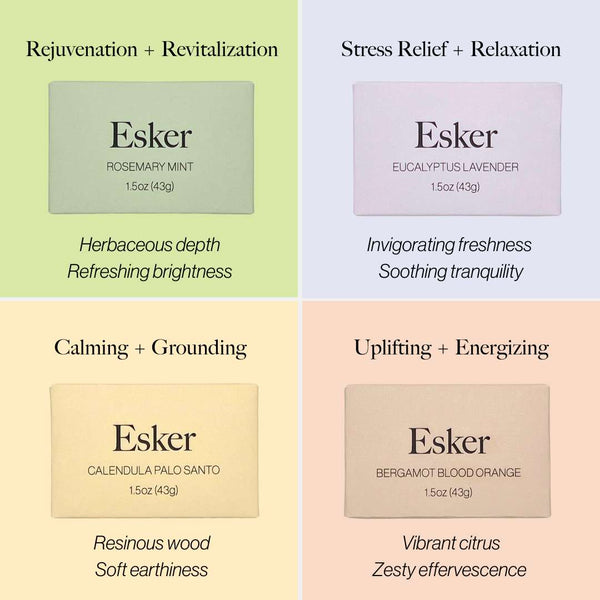 Shower Steamer Discovery Set | Esker