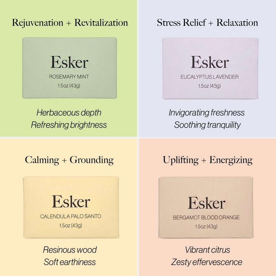 Shower Steamer Discovery Set | Esker